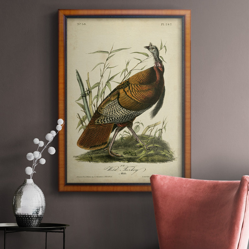 The Holiday Aisle® Audubon Wild Turkey Framed On Canvas Painting | Wayfair