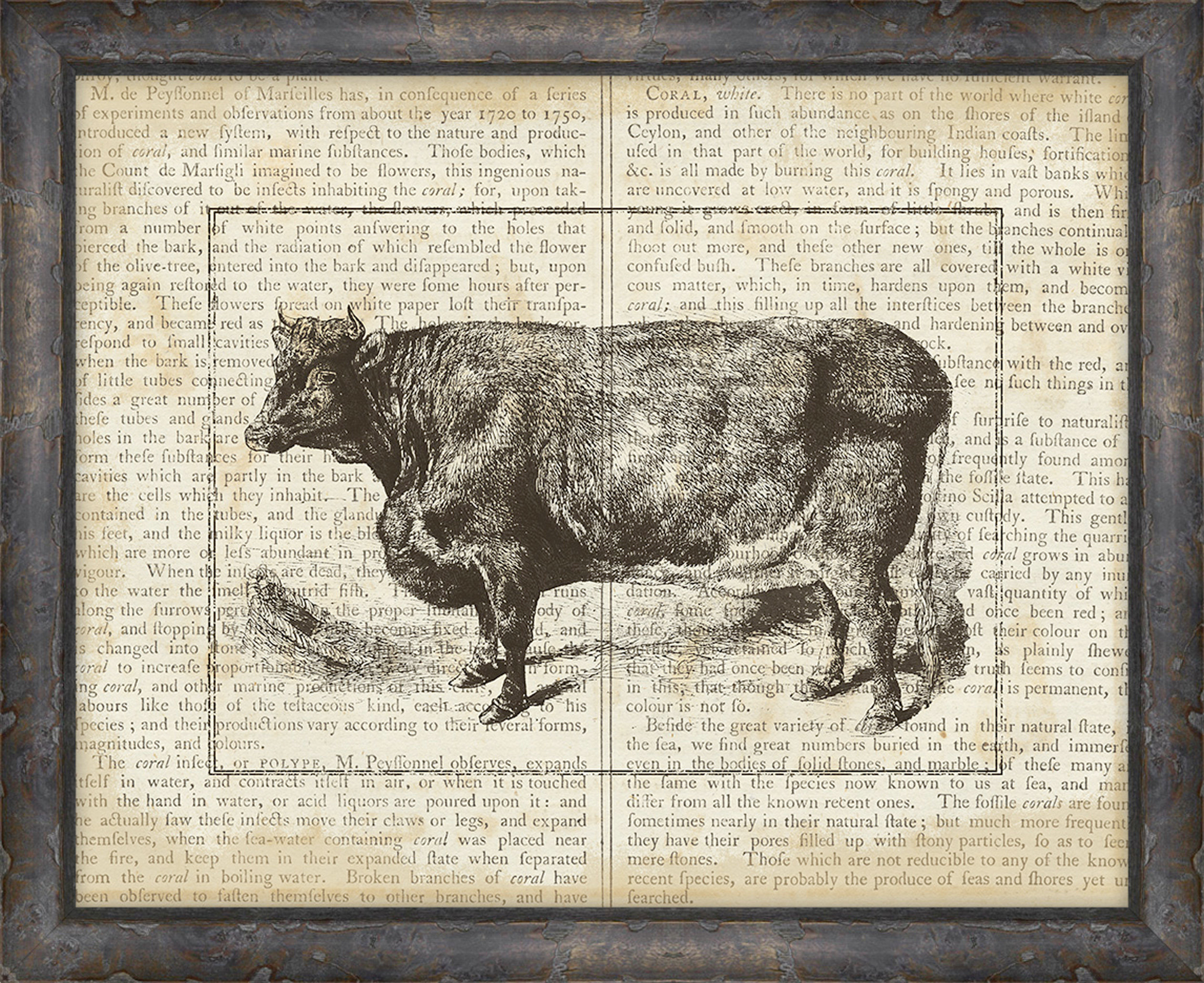 Melissa Van Hise 'Cows on Writing I' Framed Graphic Art Print - Wayfair ...
