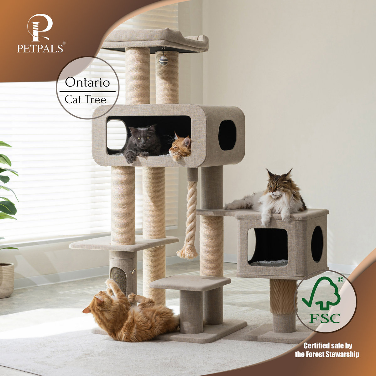PetPals 71” Grand Maine Coon™ Cat Tree – Ontario & Reviews | Wayfair