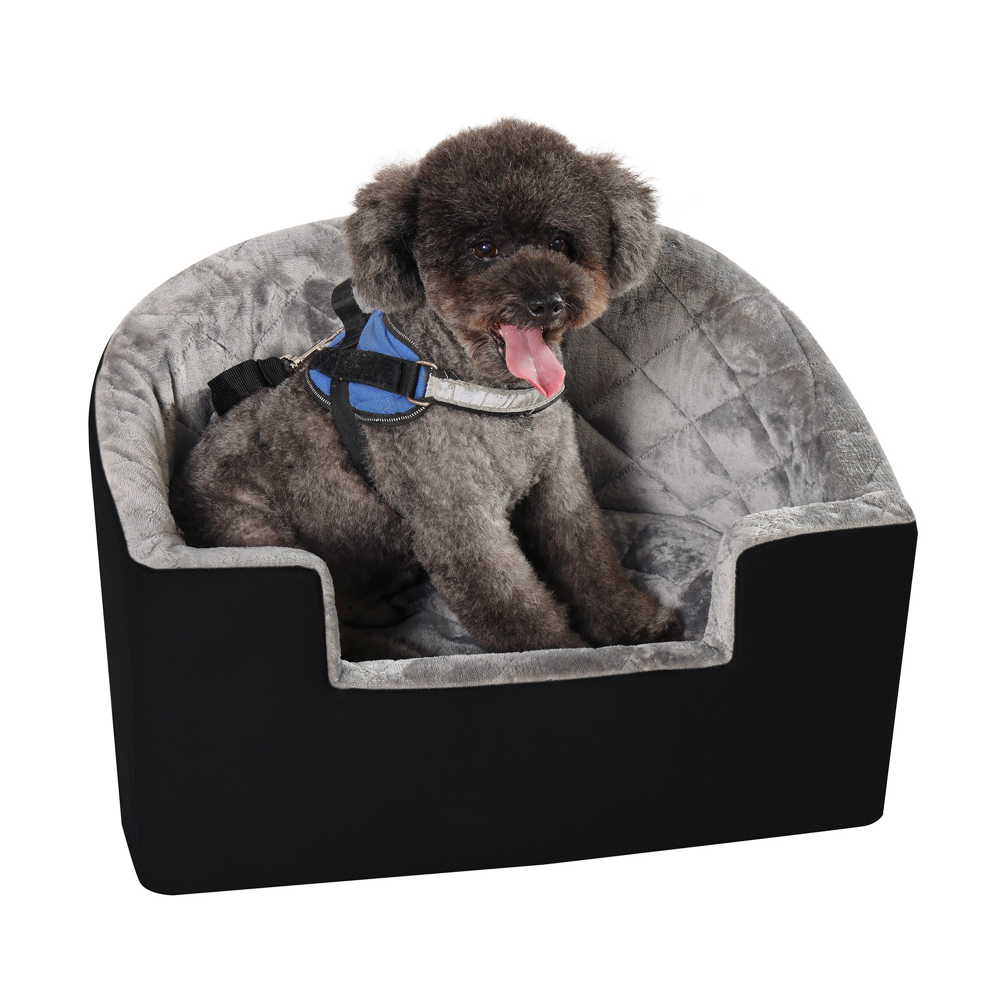Arlee Pet Booster Polyester Car Seat | Wayfair