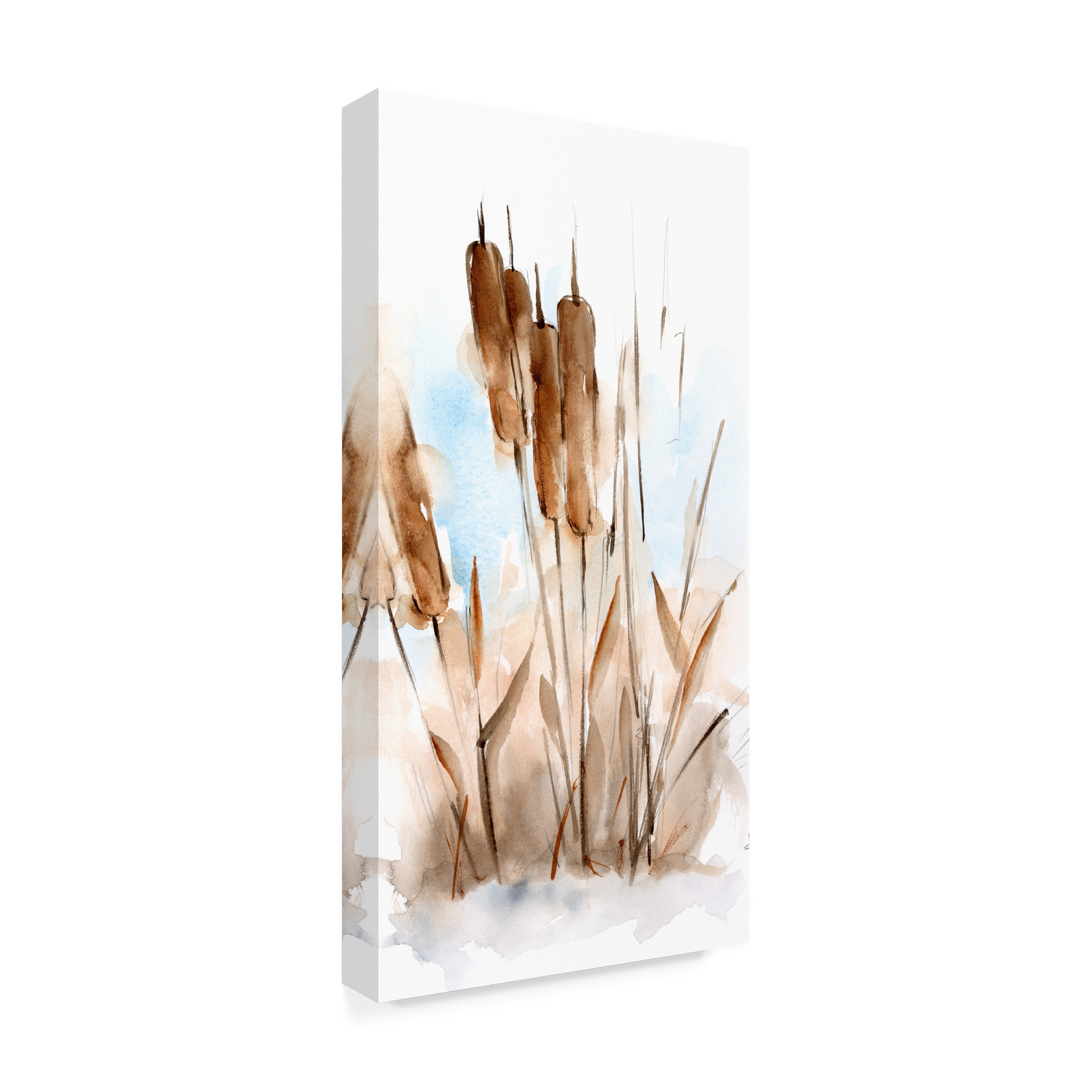 Winston Porter Watercolor Cattail Study I On Canvas by Ethan Harper ...