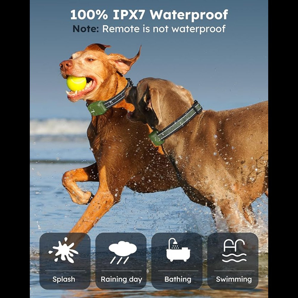 Invenitiah Portable Static Dog Training Collar | Wayfair