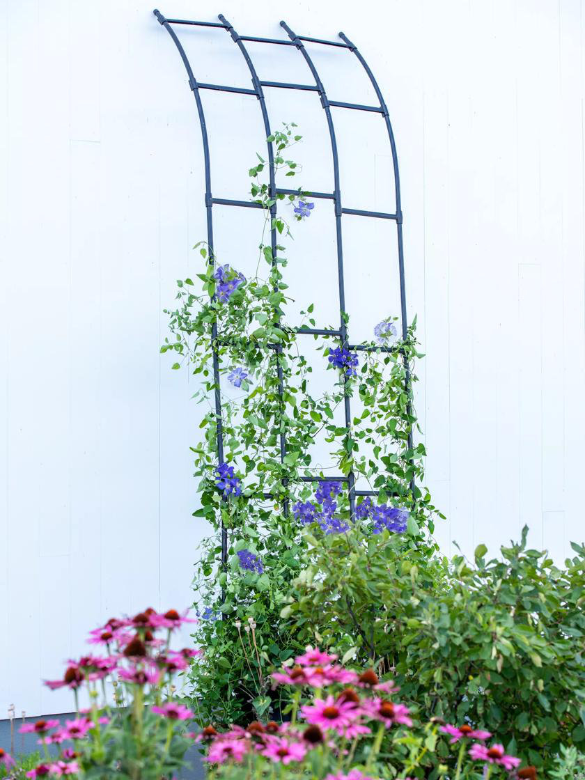 Lark Manor™ Half Arch Trellis | Wayfair