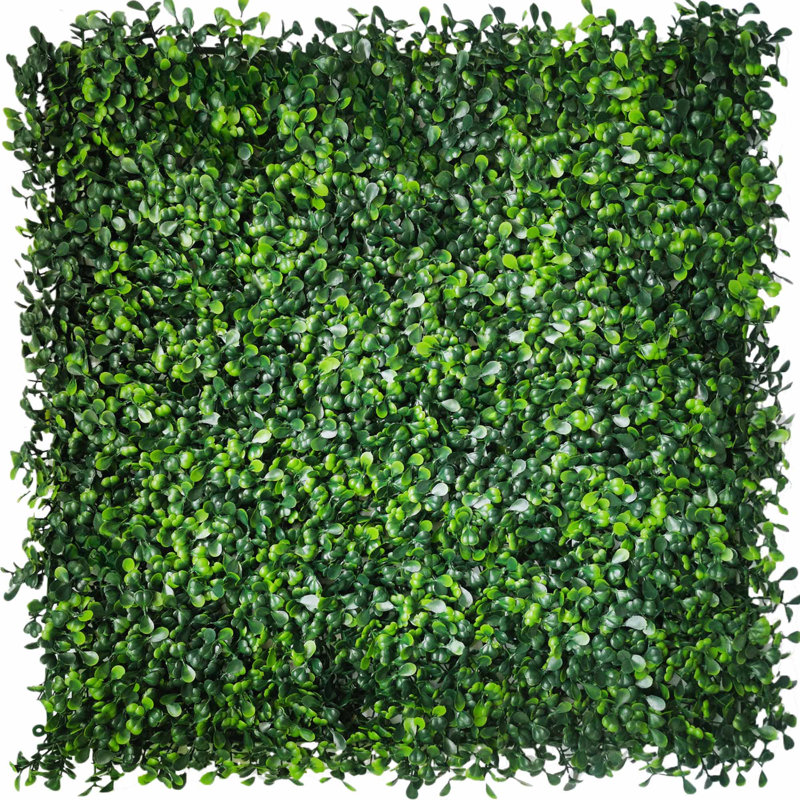 Primrue Richas 20 Inch x 20 InchBoxwood Hedge Grass Wall Panels ...