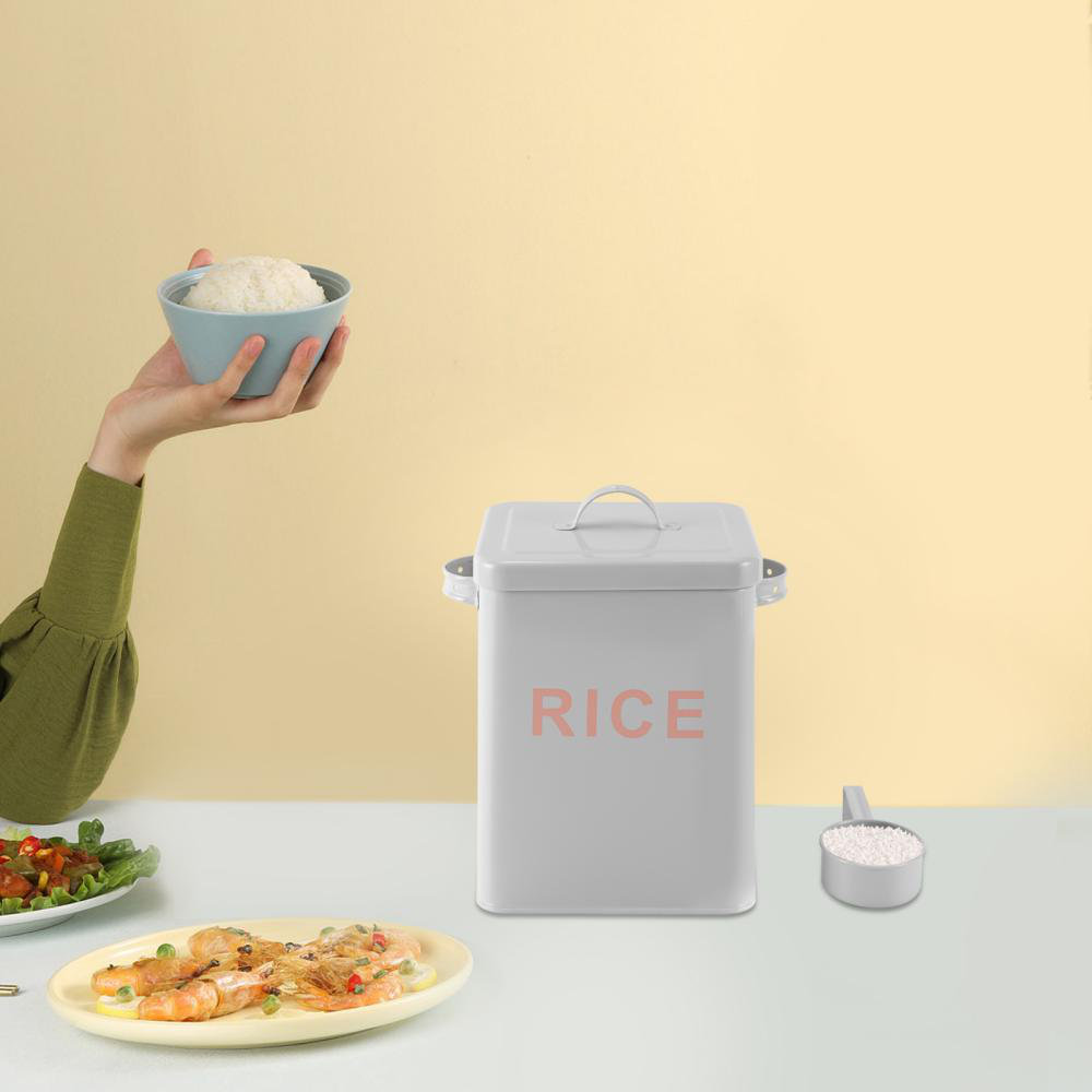 Gracie Oaks Alnajjar 6L Metal Rice Storage Container with Lid and ...