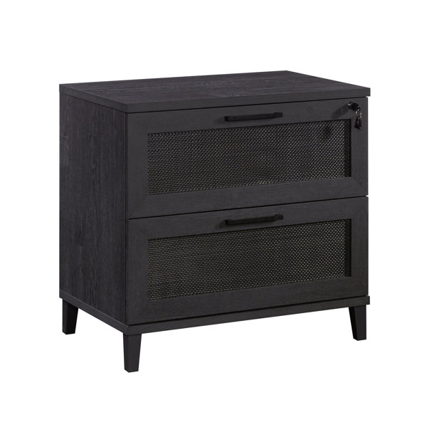 2 Drawer Filing Cabinets | Wayfair