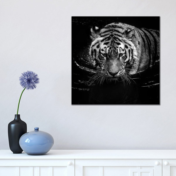 Brayden Studio Tiger In Water, Black And White by Lukas Holas - Wrapped ...