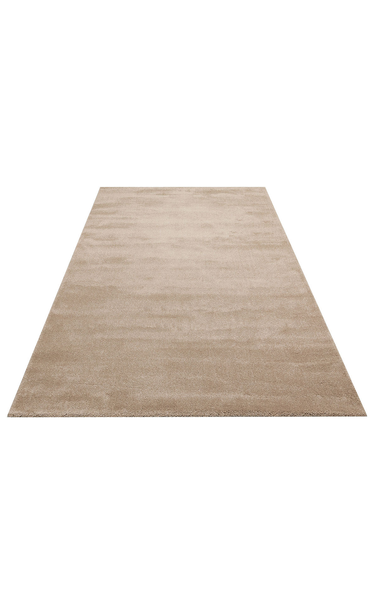 Ebern Designs Bradbury Beige Modern Polypropylene Machine Made Area Rug ...