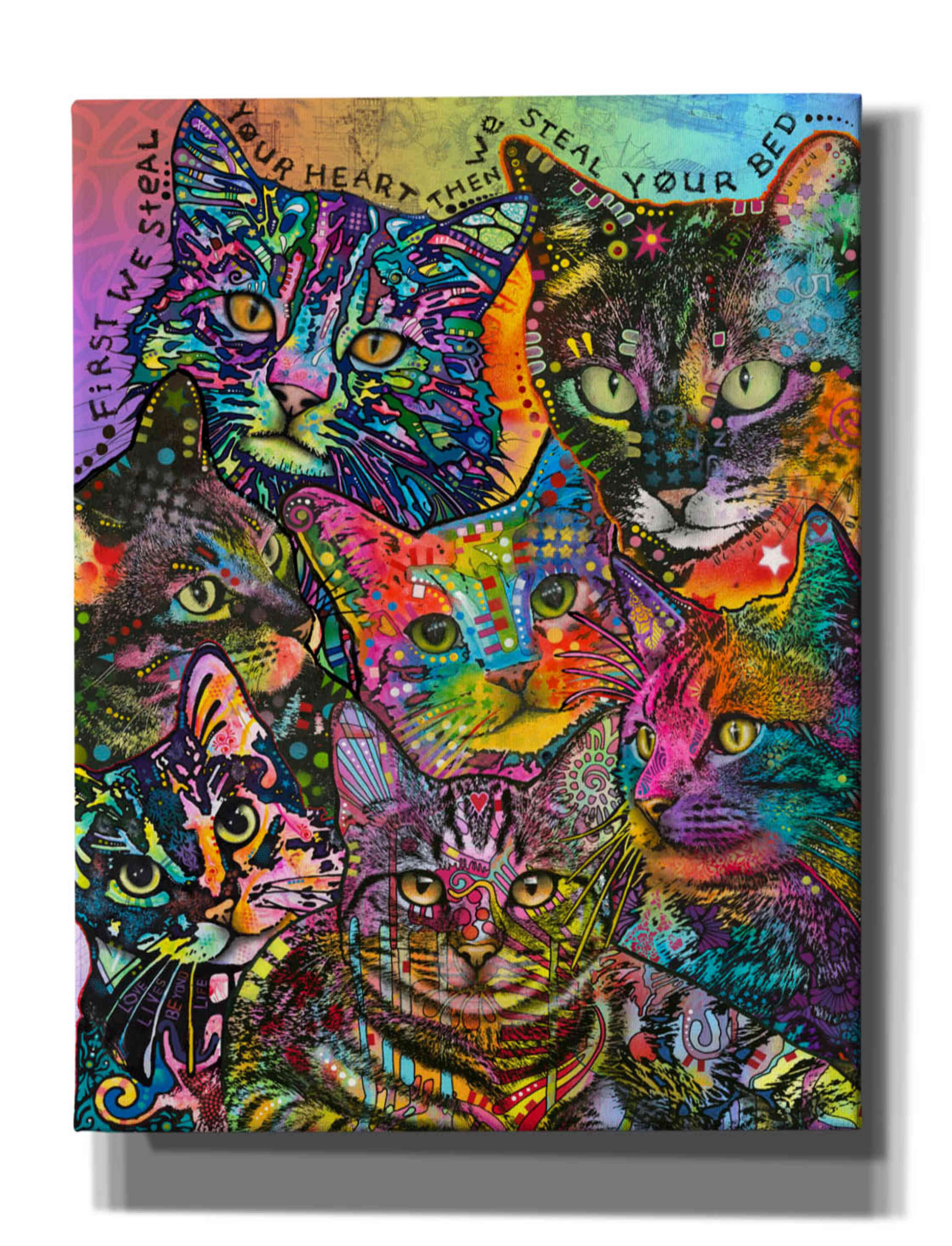 Red Barrel Studio Bed Cats by Dean Russo - Wrapped Canvas Graphic Art ...