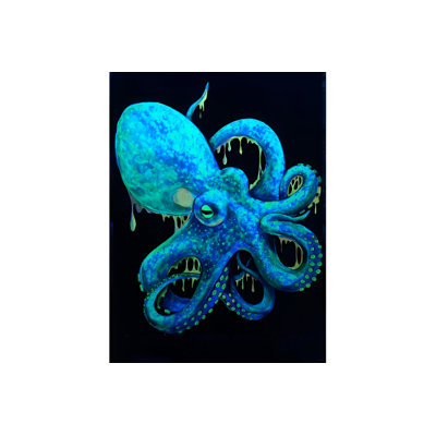 vibrant octopus