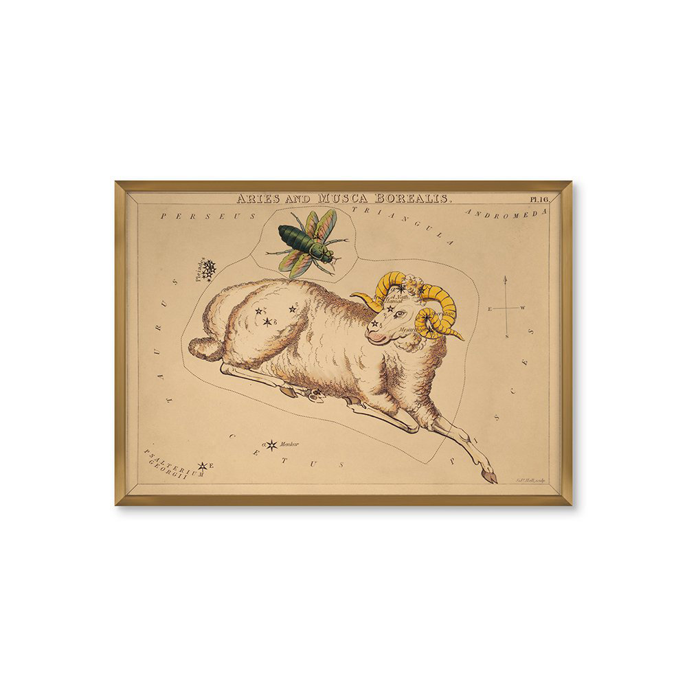Grand Image Home Aries by Grand Archives - Single Picture Frame Print ...