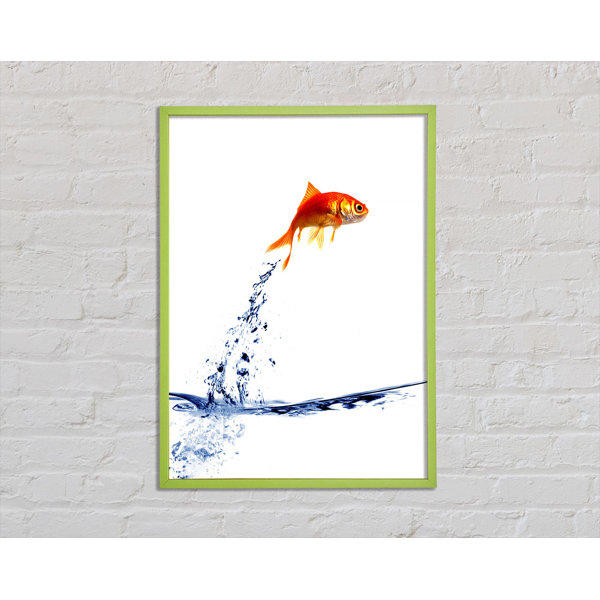 Highland Dunes Jumping Goldfish - Single Picture Frame Art Prints ...