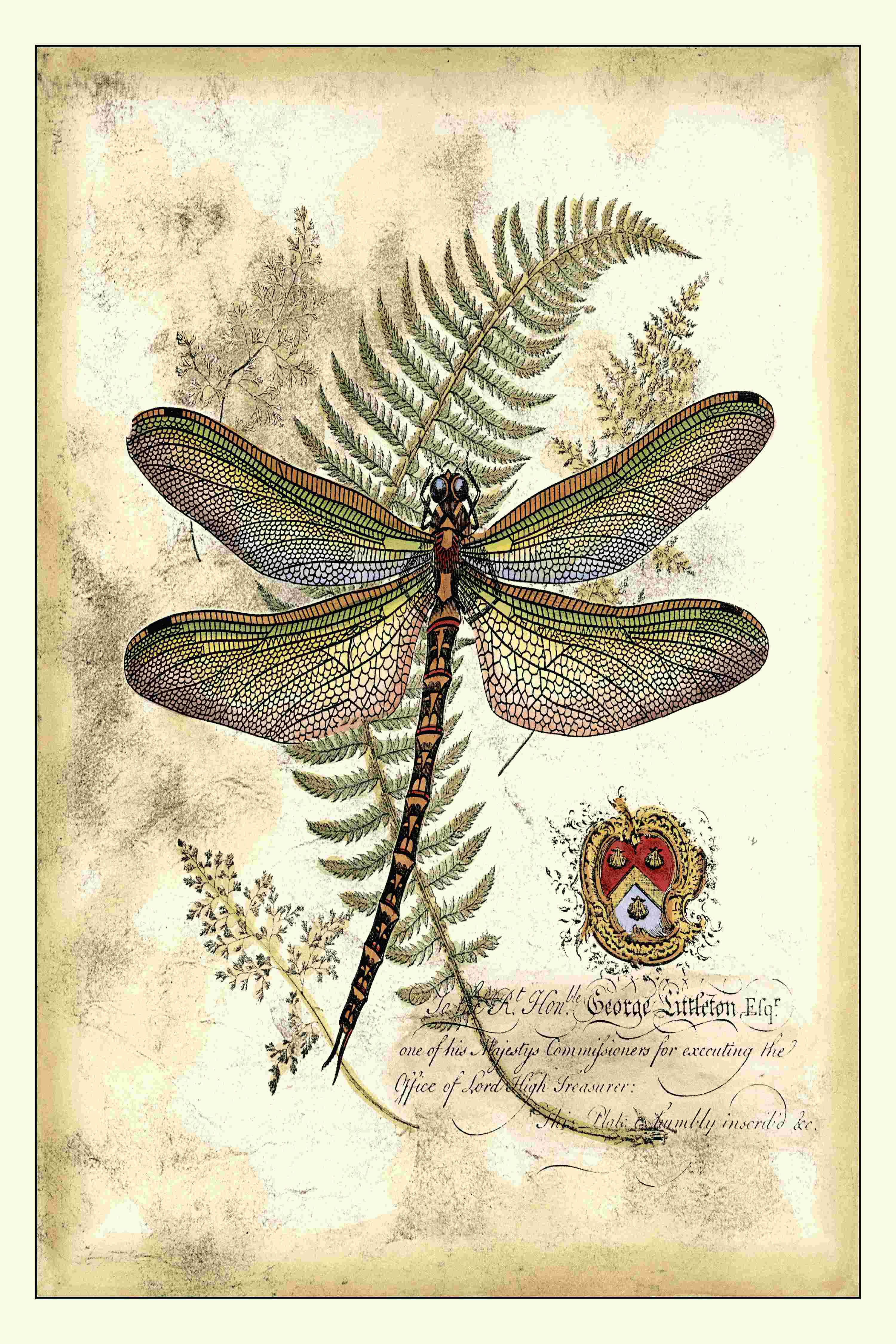 One Allium Way® Regal Dragonfly I - Wayfair Canada