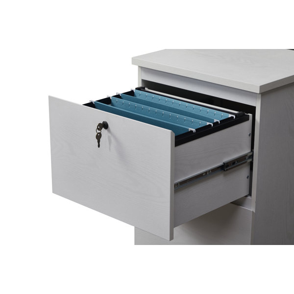Inbox Zero Chalise 19'' Wide 2 -Drawer File Cabinet | Wayfair