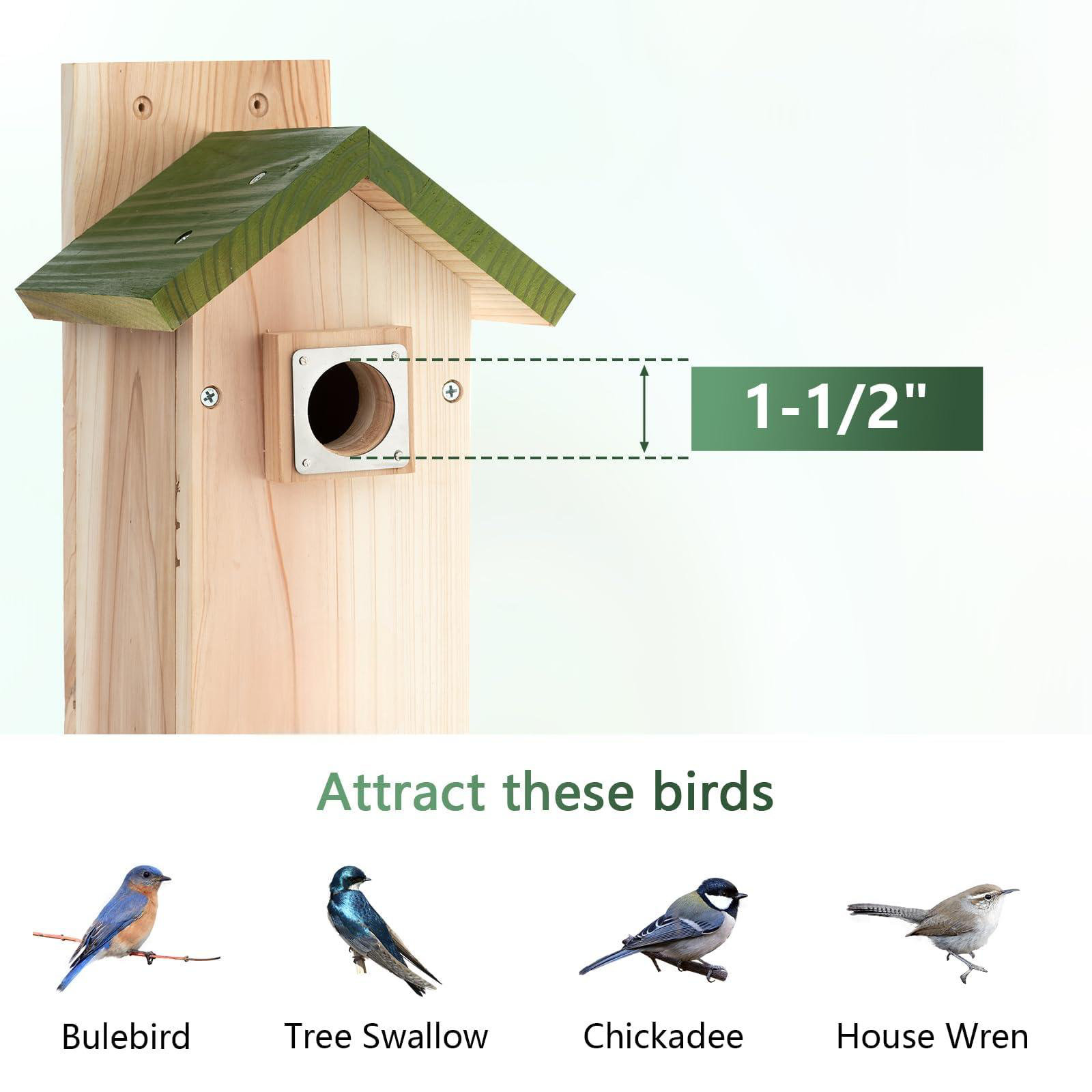 Ophelia & Co. 3/4 Thick Cedar Bird Houses With Metal Predator Guard ...