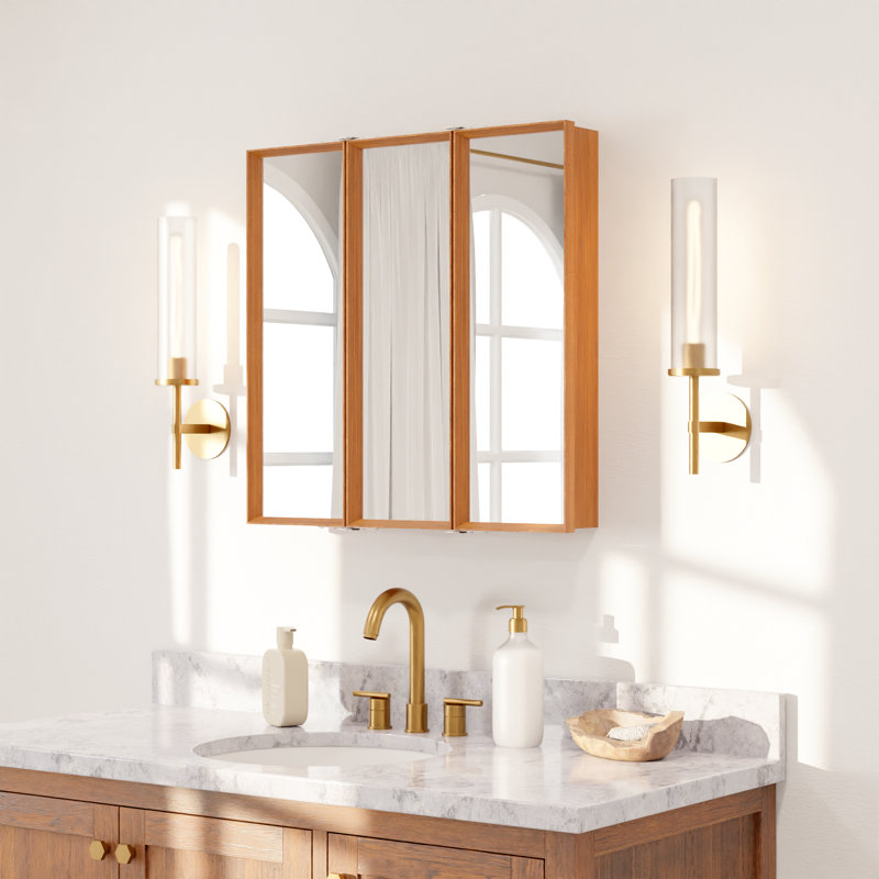 Winston Porter Anceline Surface Mount Medicine Cabinet with Mirror and ...