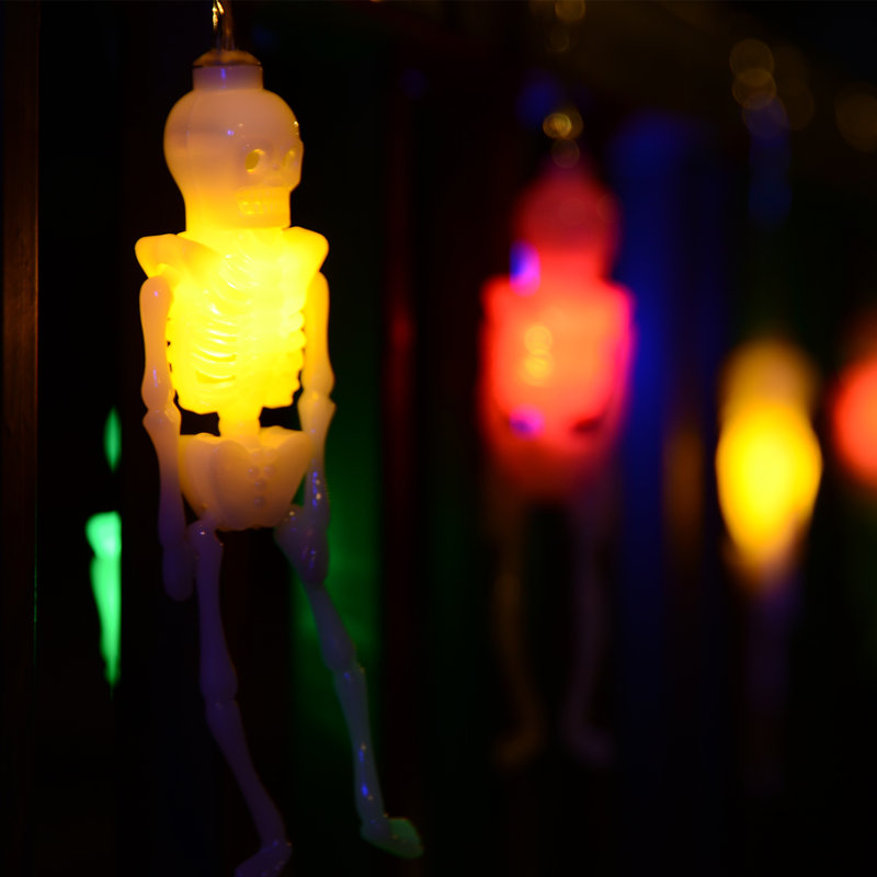 The Holiday Aisle® 1.56'' Halloween Skeleton Skull String Lights ...