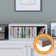 Ebern Designs Toller ZBoard Paperboard 7'' H Media Shelves & Reviews ...