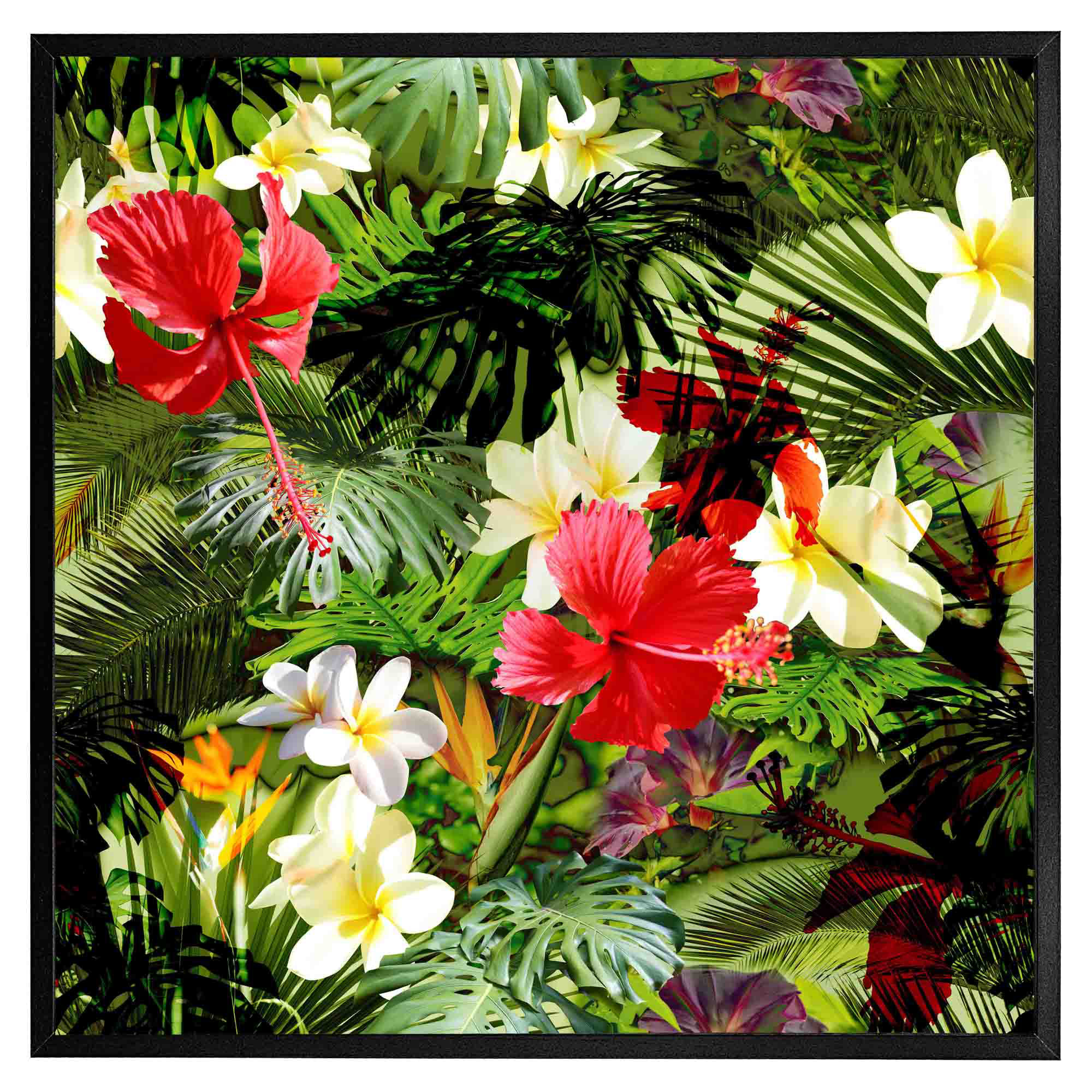 17 Stories Millheim Tropical Foliage - Single Picture Frame Art Prints ...