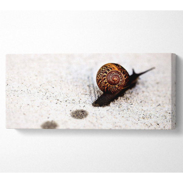 Ebern Designs Snail Track Macro - Wrapped Canvas Print | Wayfair.co.uk