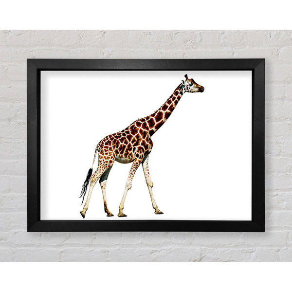 Ebern Designs Giraffe Walk - Single Picture Frame Art Prints | Wayfair ...