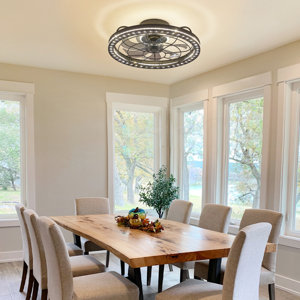 Wrought Studio™ 19'' Dimmable Caged Ceiling Fan with LED Lights ...