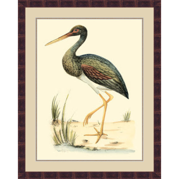 GlobalDesigns 'Water Birds II' Framed Painting Print & Reviews | Wayfair