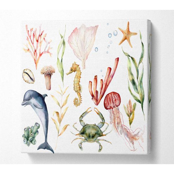 Bay Isle Home Water Colour Sea Creatures - Wrapped Canvas Art Prints ...