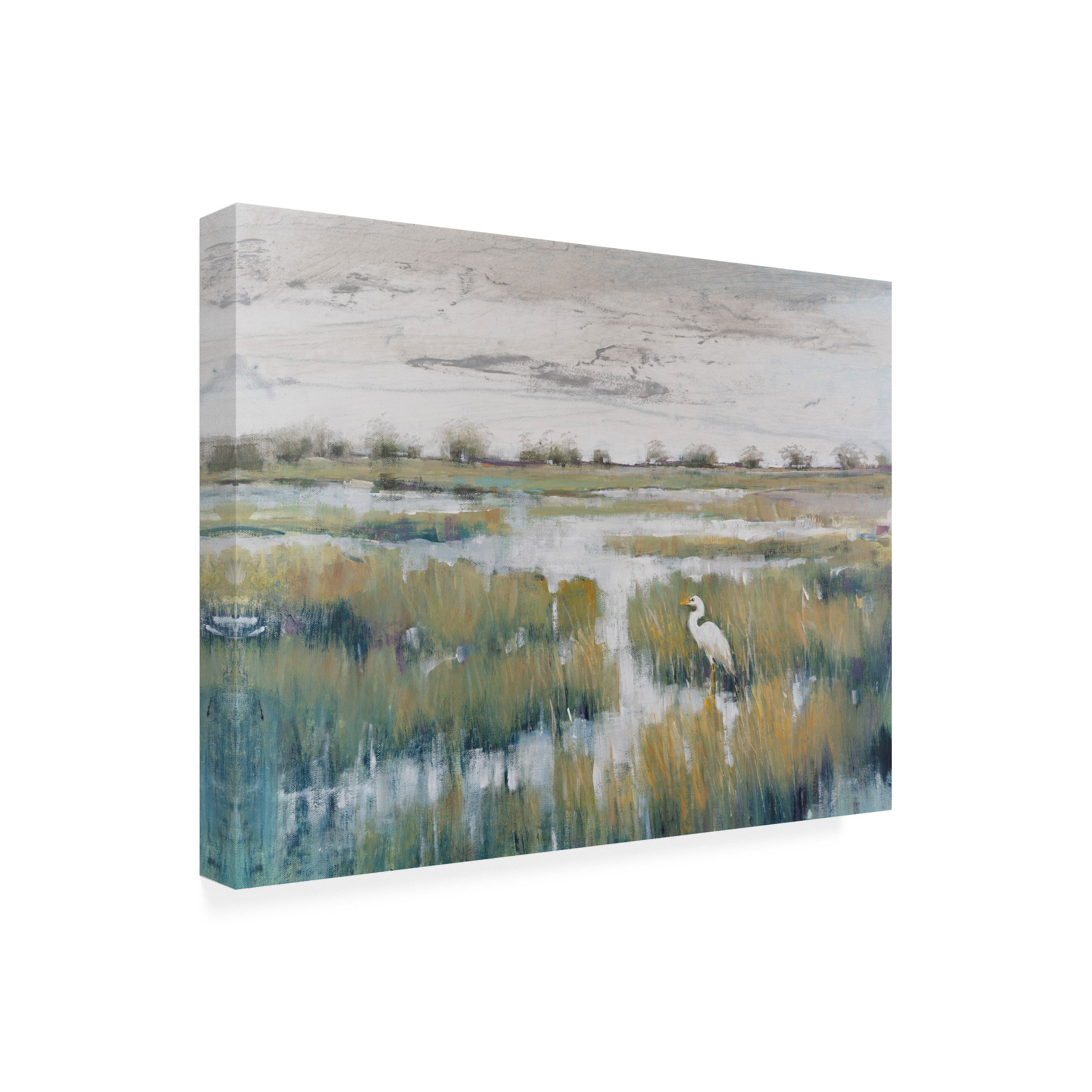 Highland Dunes Marshland View VI On Canvas by Tim O'Toole Canvas Art ...