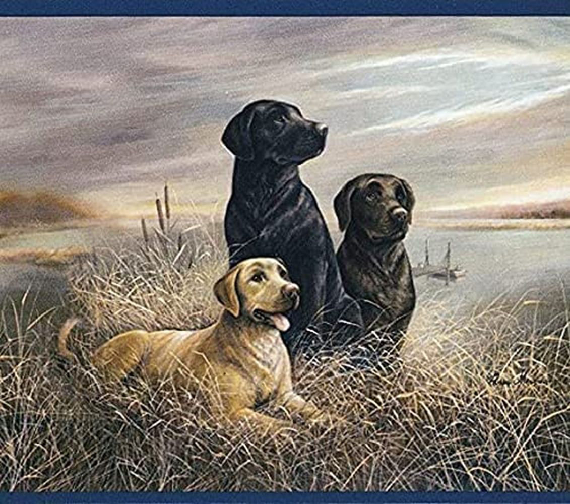 Red Barrel Studio Gretchyn Abstract Wallpaper - Wayfair Canada