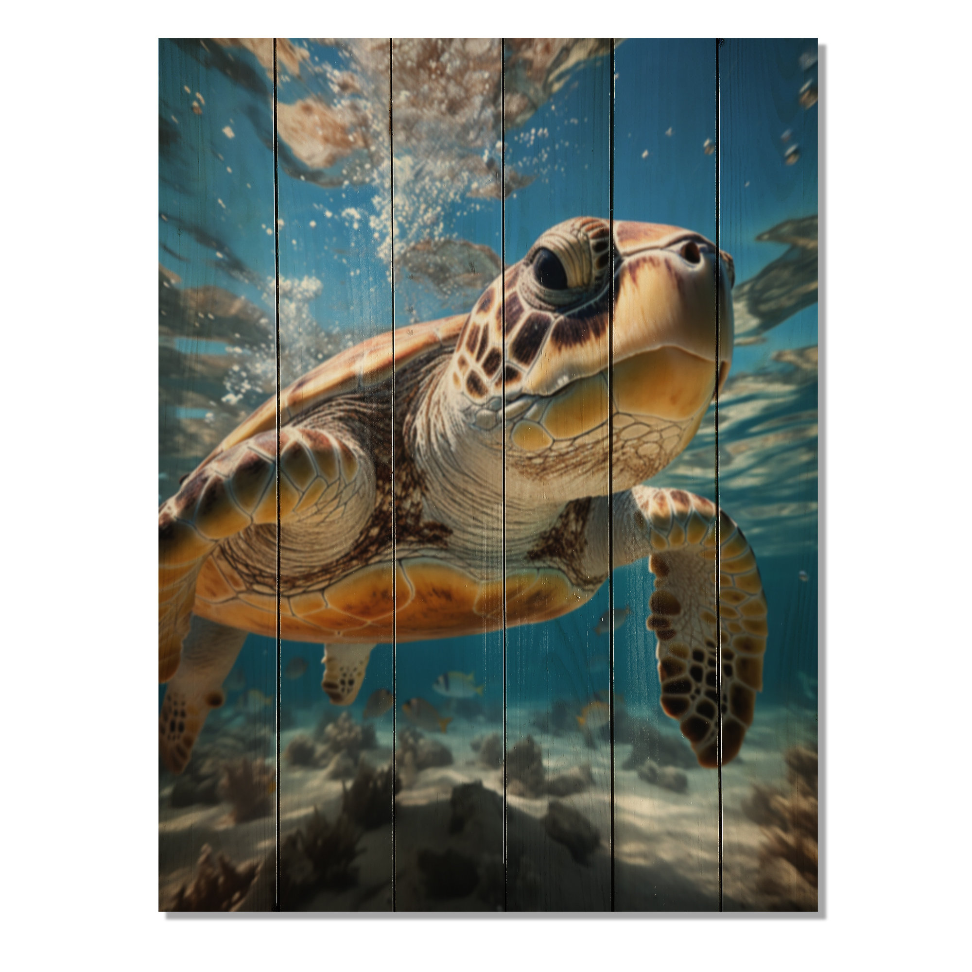 Bay Isle Home™ Turle Marine Life Encounter I On Wood Print | Wayfair