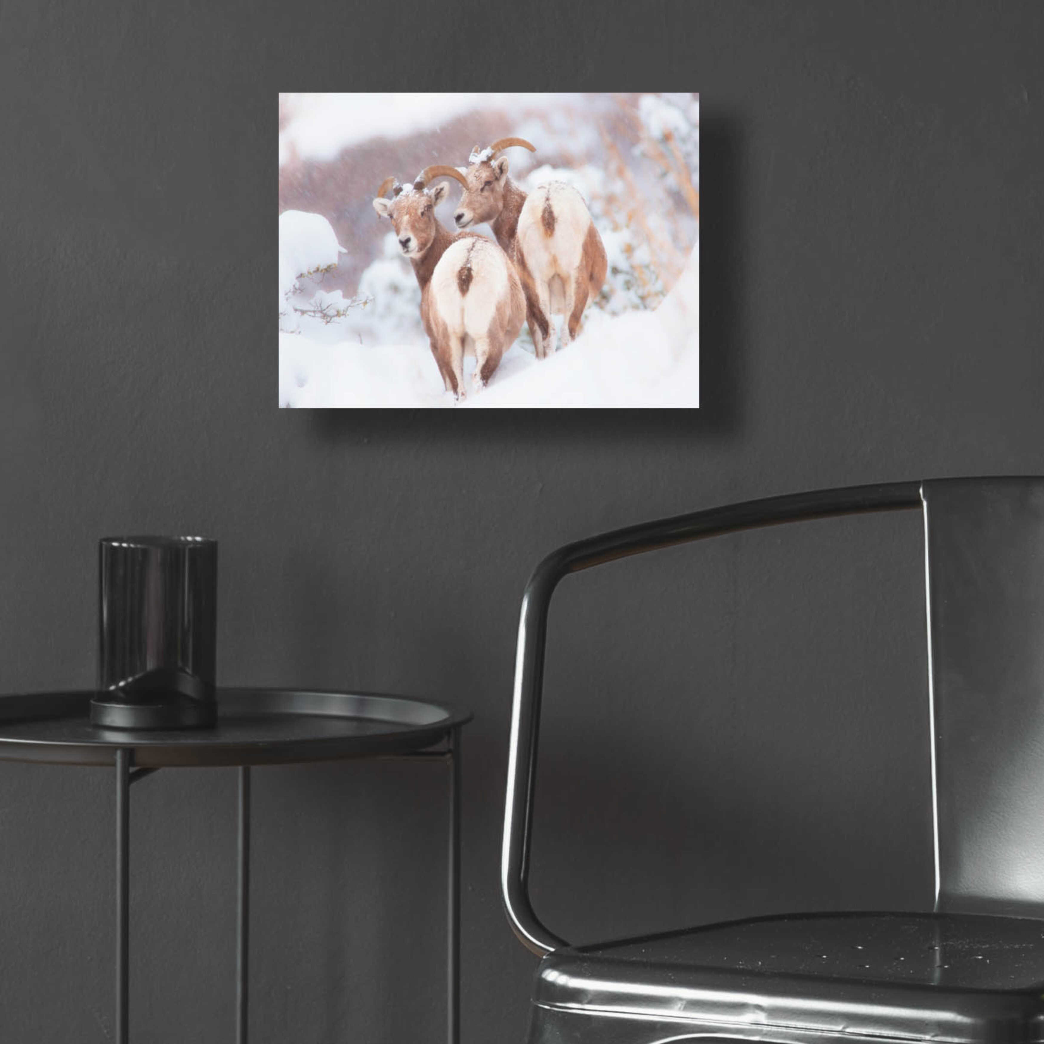 Millwood Pines " Bighorns Two " by Thomas Haney | Wayfair