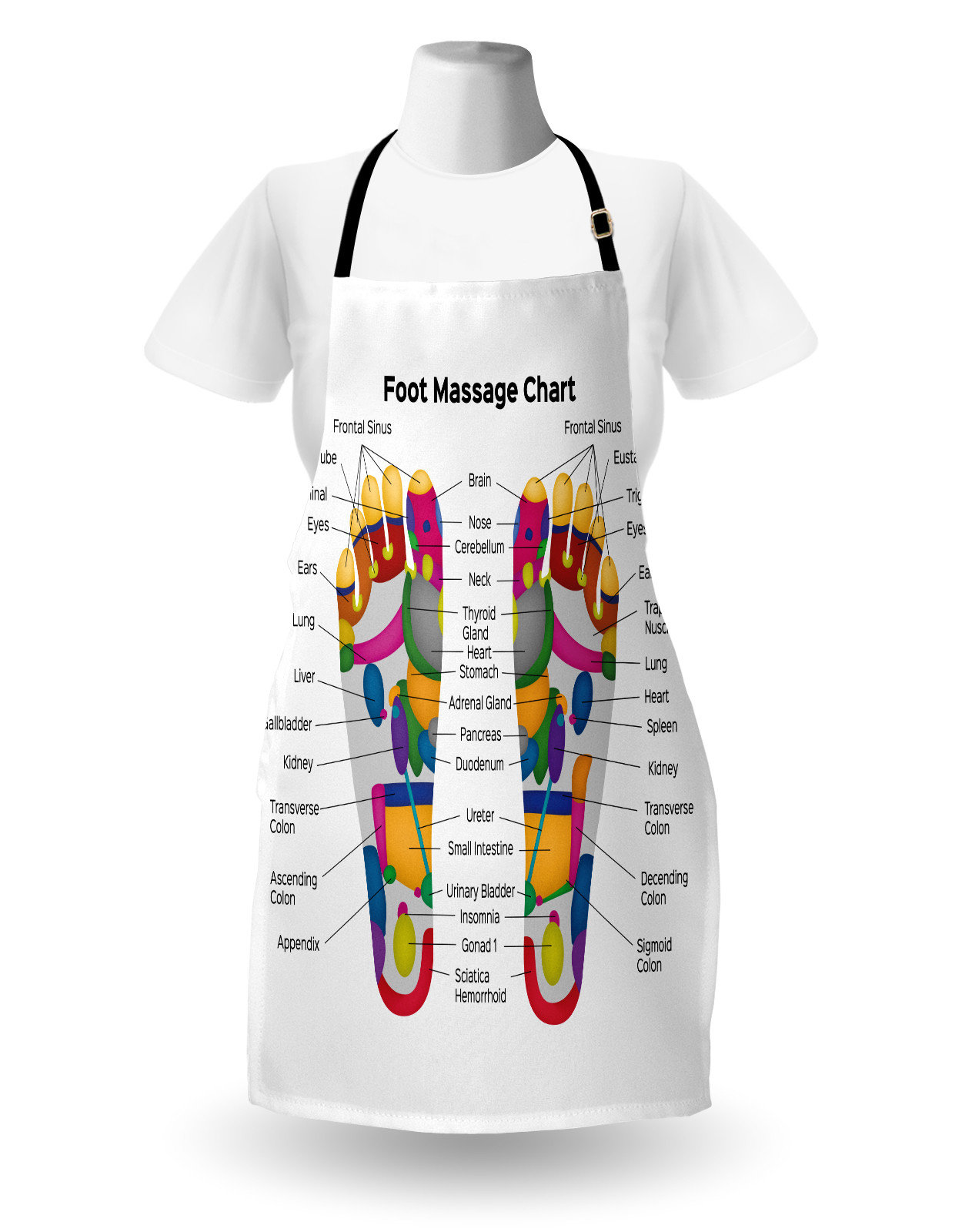East Urban Home Human Anatomy Apron Unisex Coloured Chart of Foot Adult ...