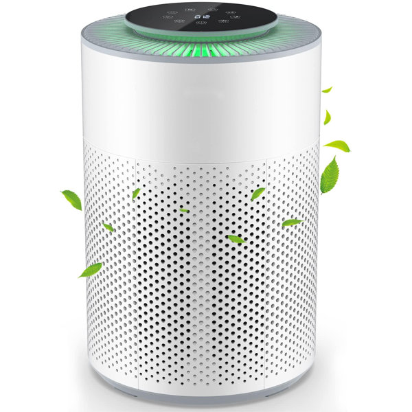 ColorLife Air Purifier with HEPA Filter | Wayfair