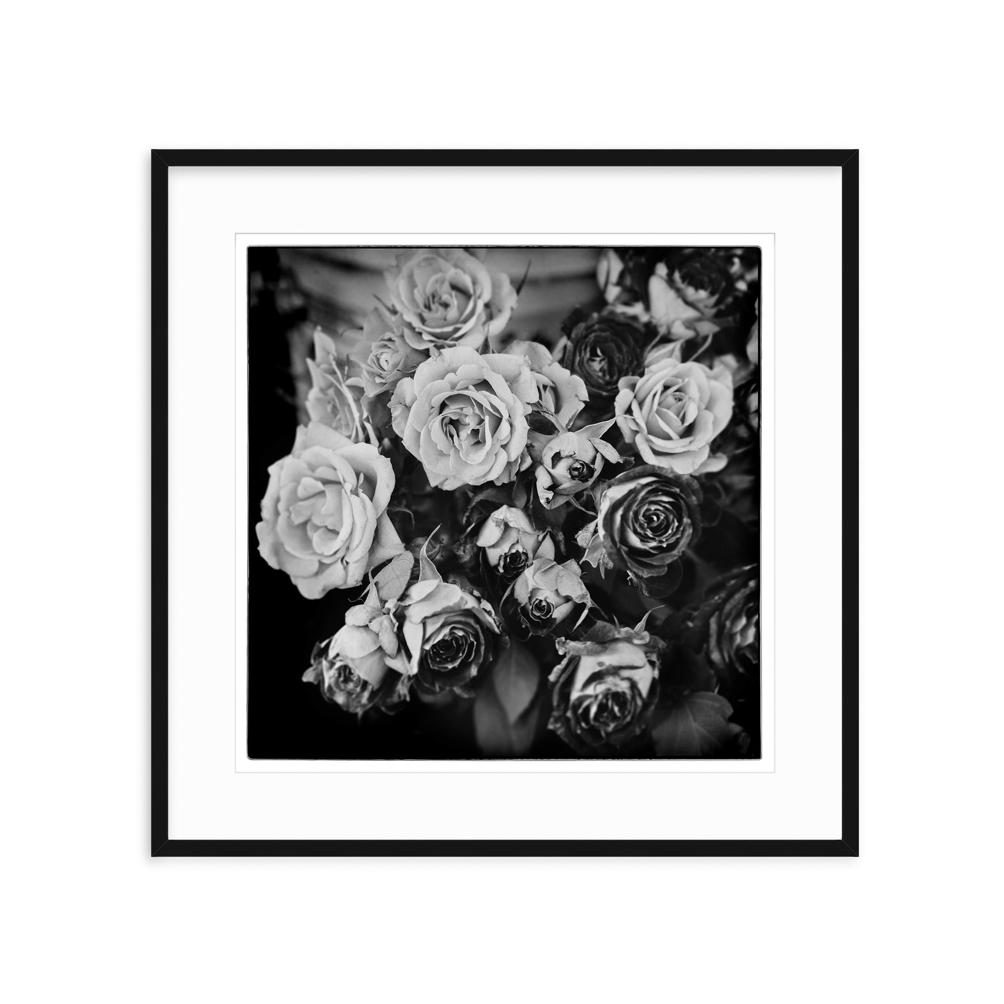 Robin Riley Photography Fading Roses - Picture Frame Photograph on ...