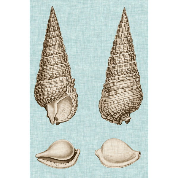 Highland Dunes Sepia & Aqua Shells I | Wayfair.co.uk