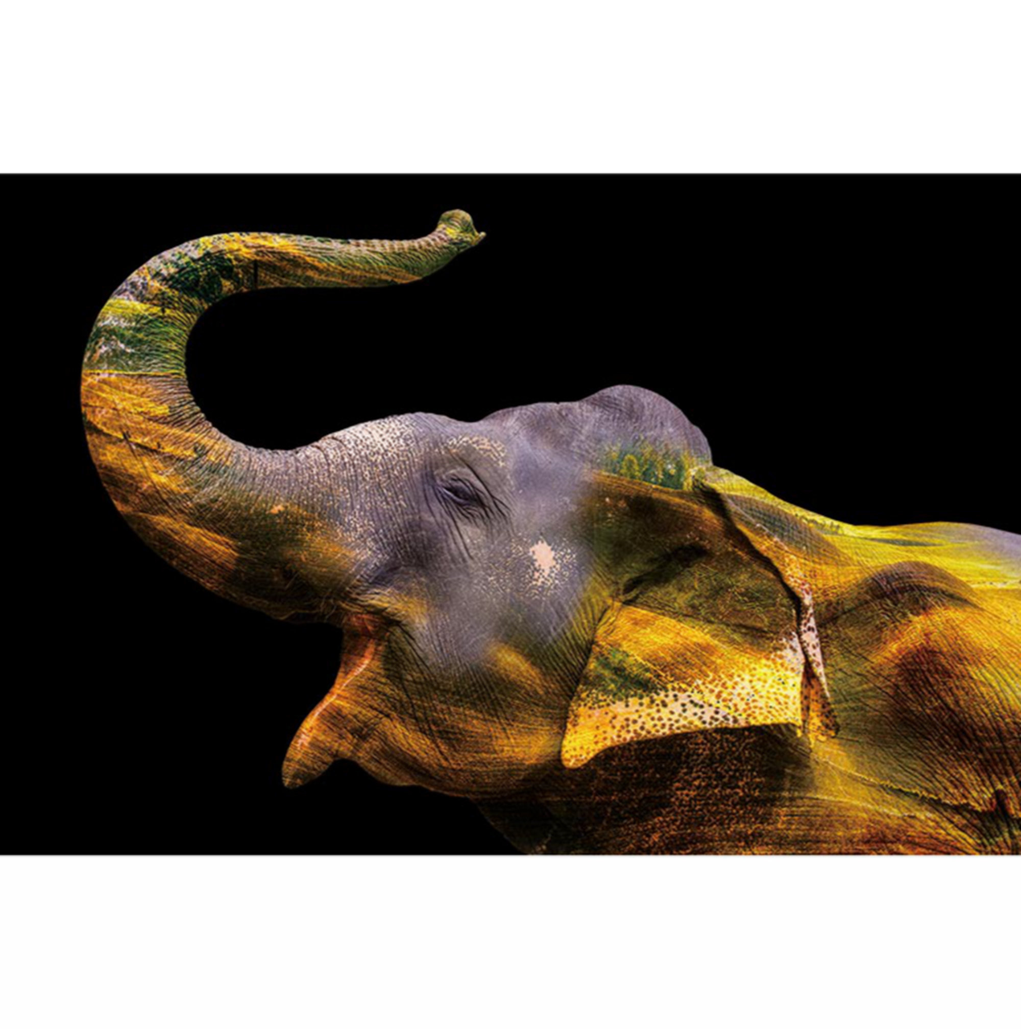 Myhomekeepers Elephant In Yellow Paint On Acrylic | Wayfair
