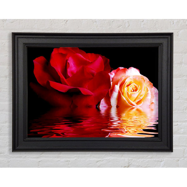 Ebern Designs The Floating Roses - Single Picture Frame Print | Wayfair ...