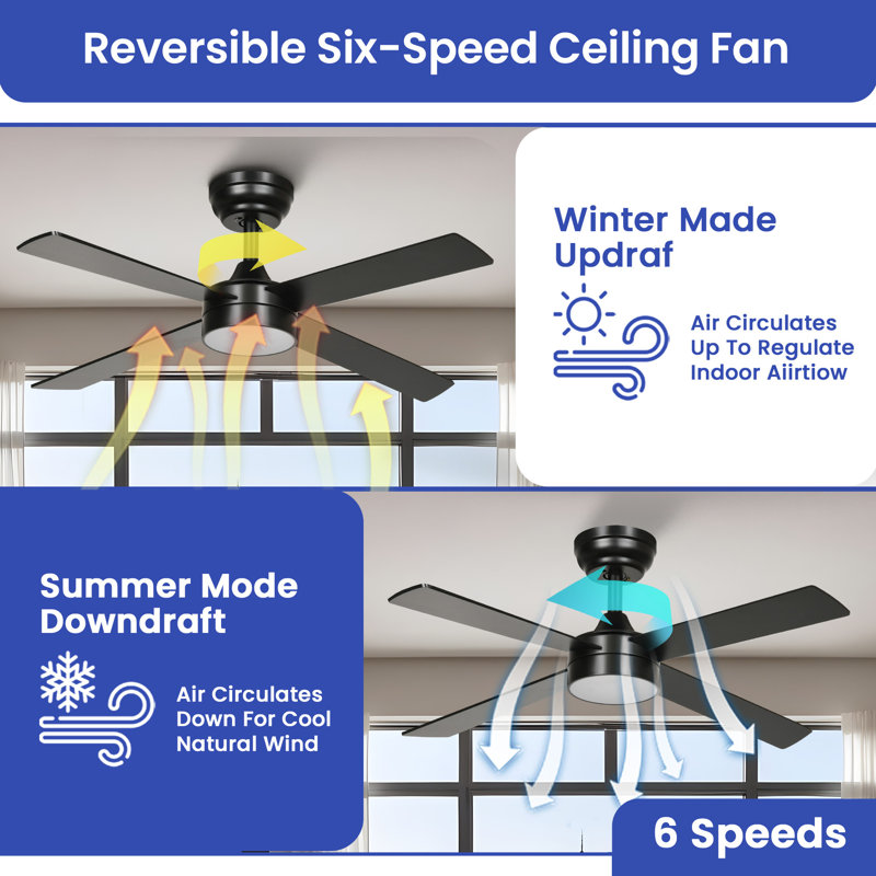 Wrought Studio™ Lorrie 48'' Ceiling Fan with LED Lights | Wayfair