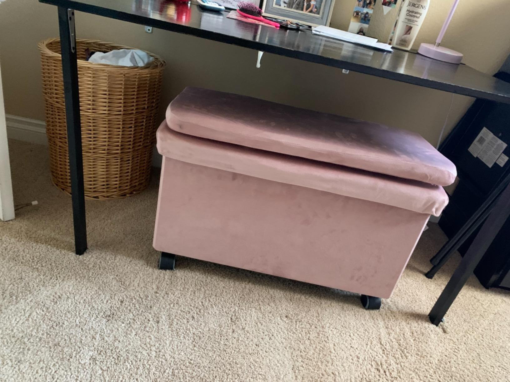 Ebern Designs Storage Ottoman with Seat Back, Folding Footstool Foot ...