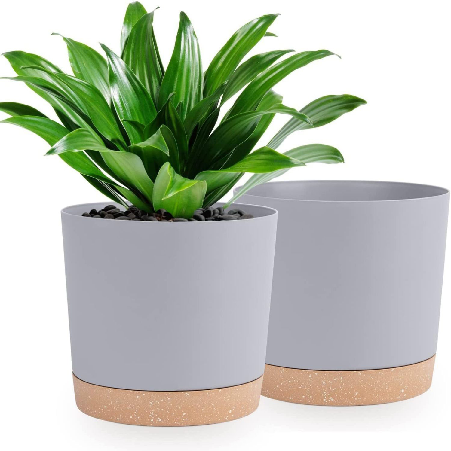 Ameriwood Color Planter | Wayfair