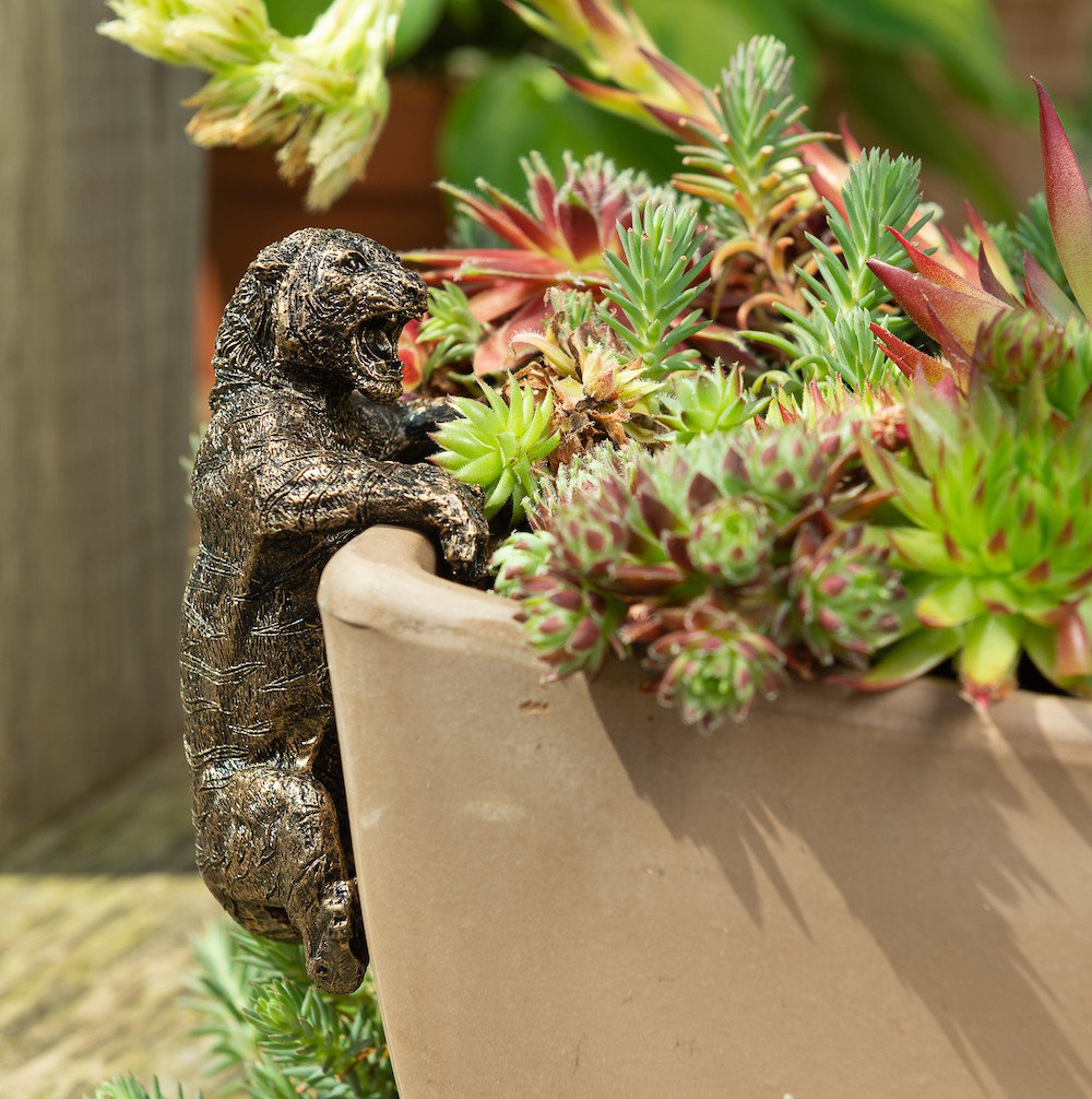 Jardinopia Tiger Pot Buddy Pot Hanger In Gift Box | Wayfair