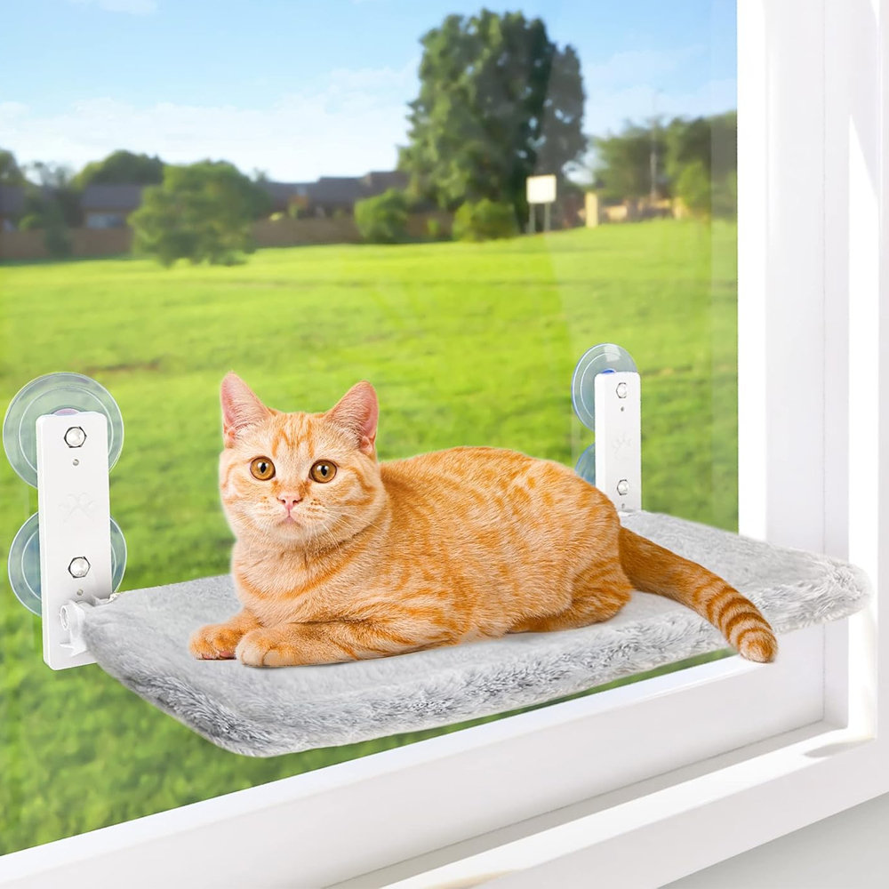 Tucker Murphy Pet™ Cordless Cat Window Perch, Foldable Cat Window ...
