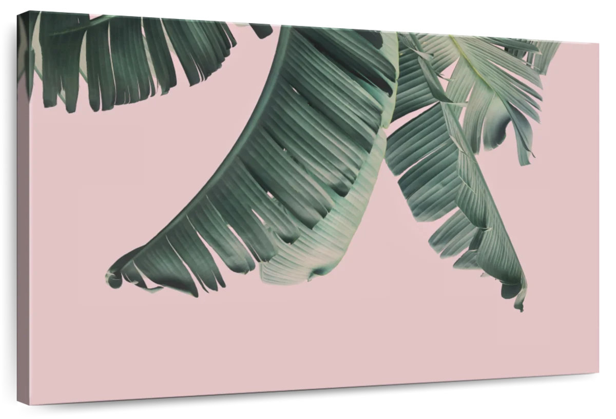 Lark Manor Harnek Blush Banana Leaves - Wayfair Canada