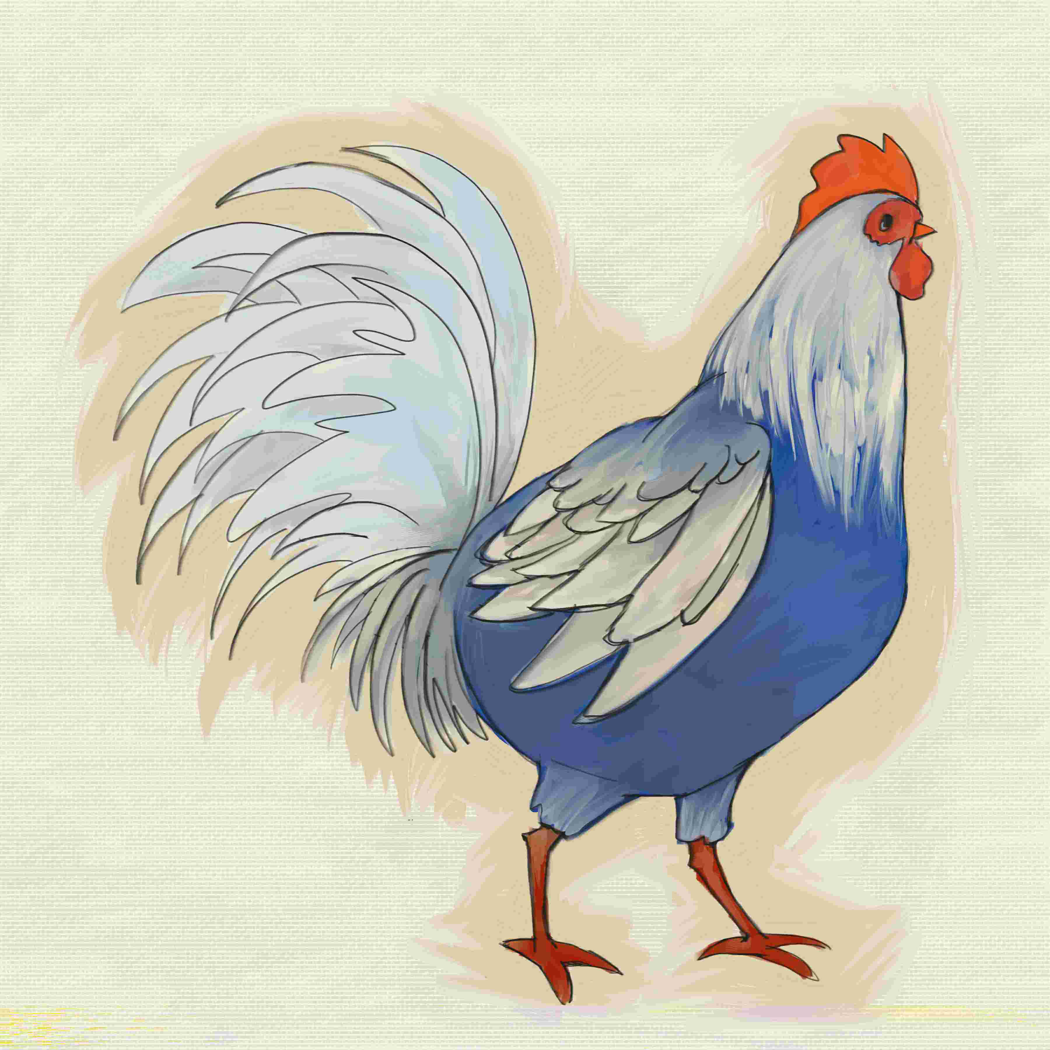 August Grove Rooster - Wayfair Canada