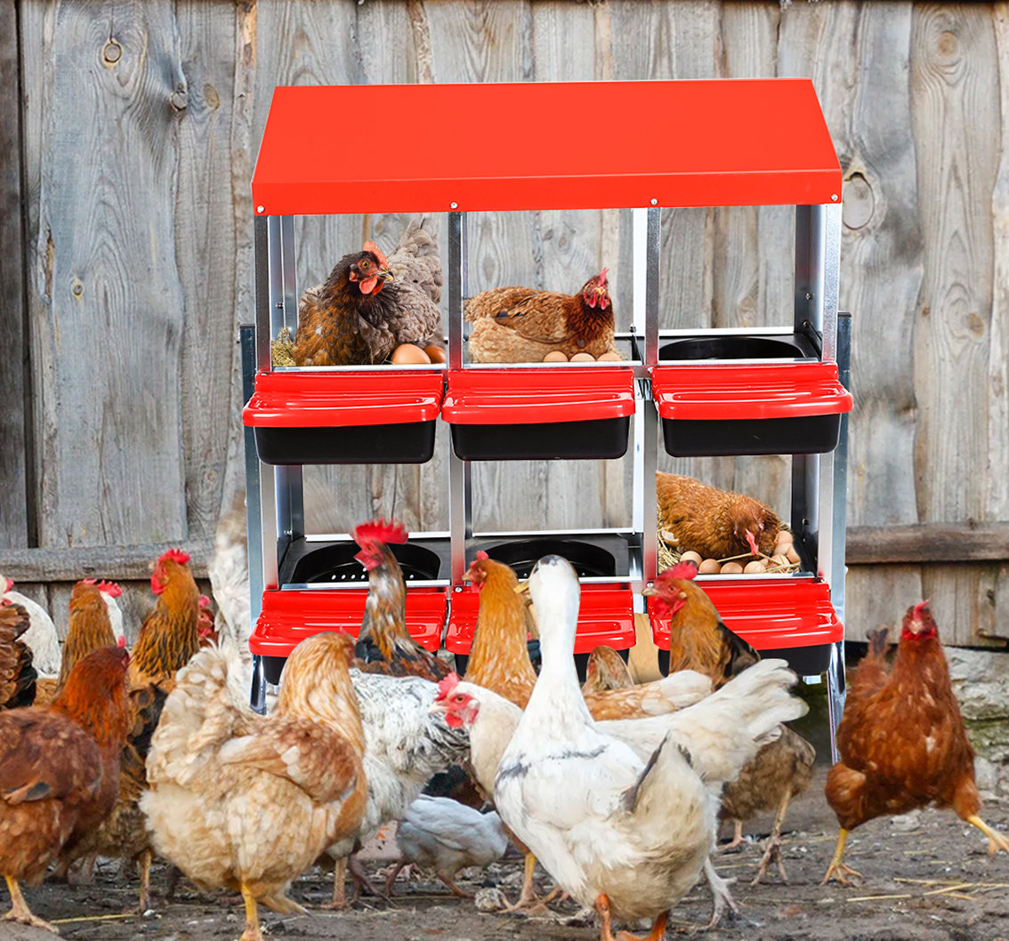 Archie & Oscar™ Nesting Boxes For Chickens,plastic Tray Egg Laying Box ...