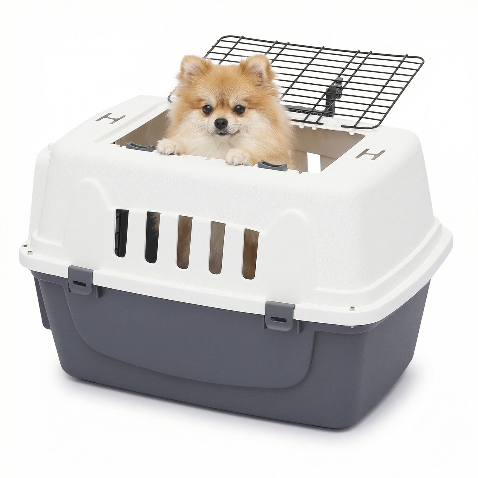Tucker Murphy Pet™ Plastic Pet Carrier, Portable Hard-Sided Dog Travel ...