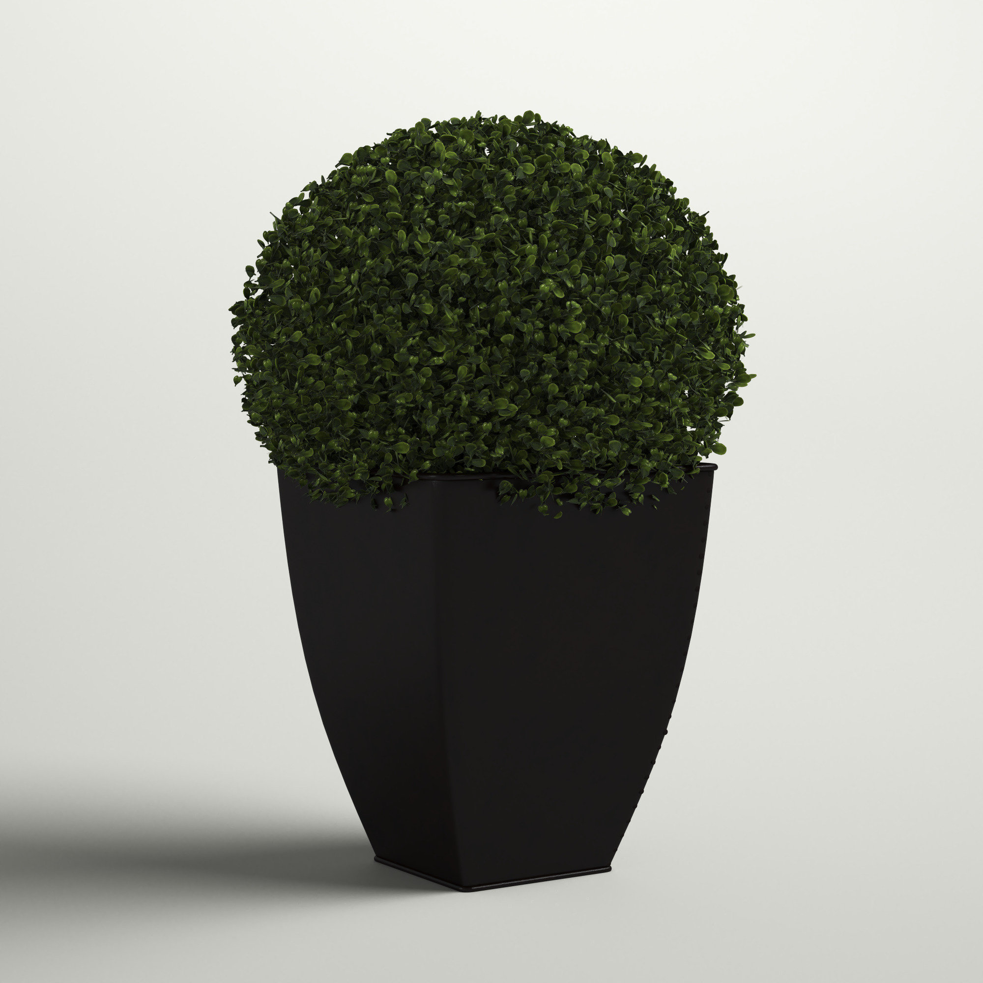 Three Posts™ Boxwood Ball Square Boxwood Topiary in Planter & Reviews ...