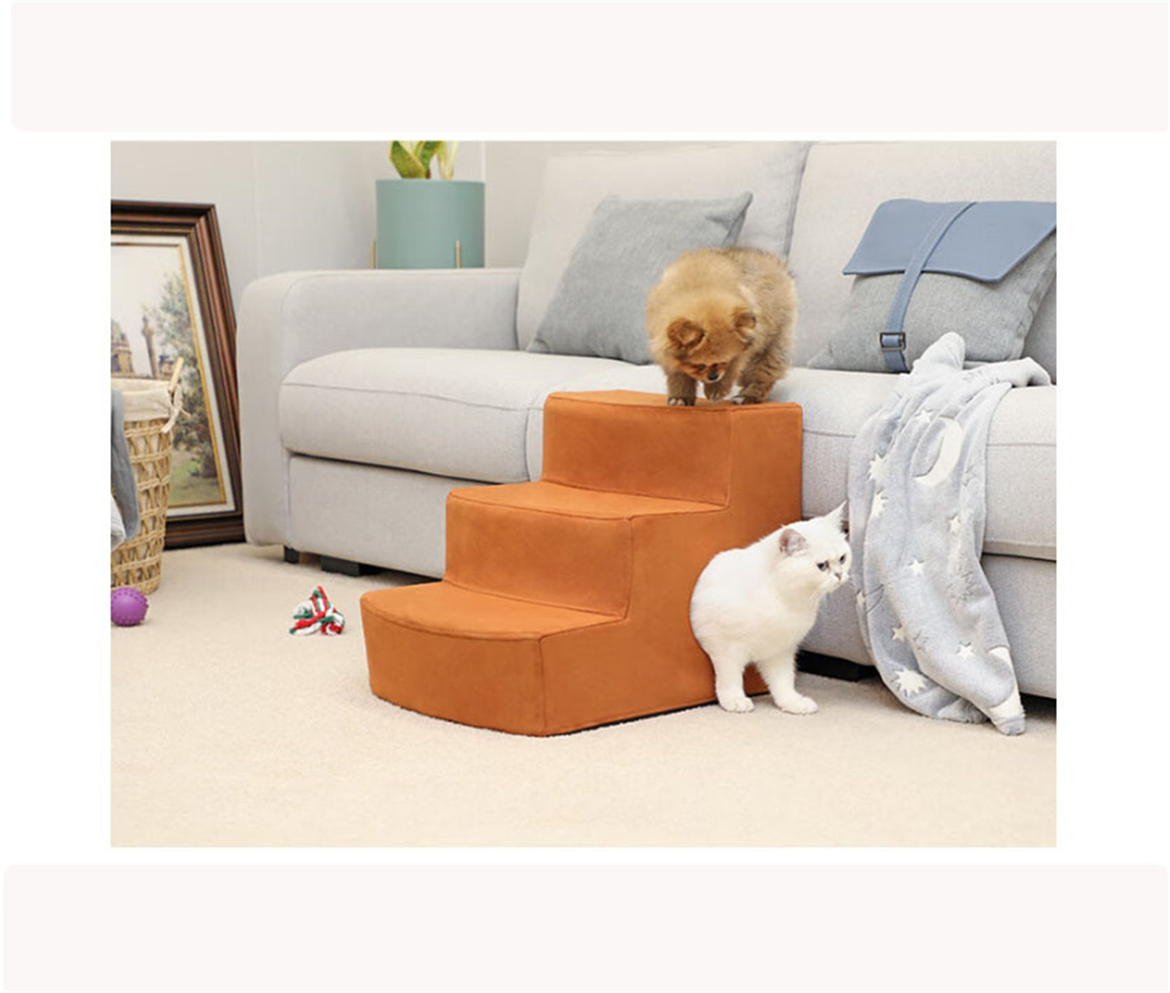 Tucker Murphy Pet™ Pet Staircase Tail Buddy - Wayfair Canada