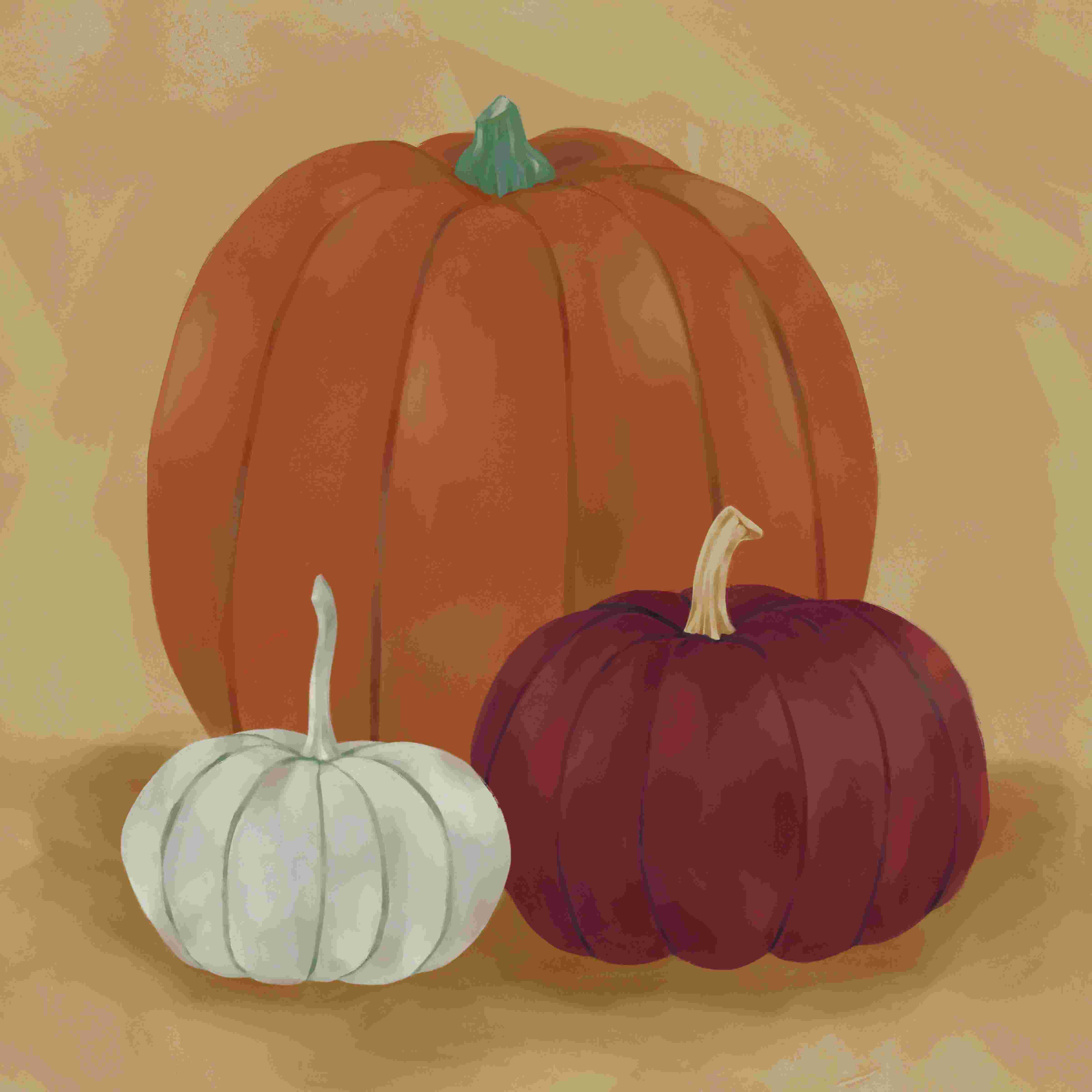 August Grove® Pumpkin Trio - Wrapped Canvas Painting | Wayfair